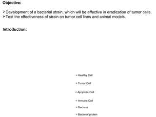 FNP workshop presentation | PPT