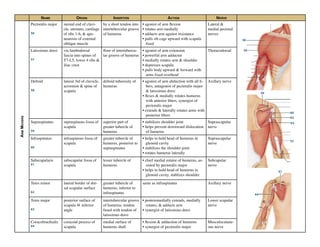 Muscle chart | PDF