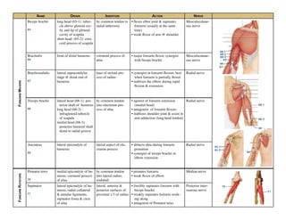 Agonist Muscle Chart