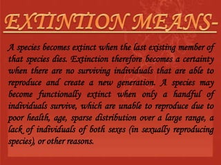 ANIMAL EXTINCTION | PPTX