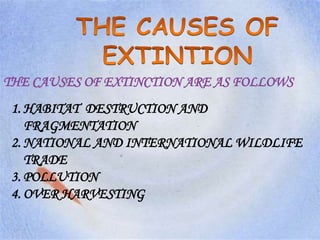 ANIMAL EXTINCTION | PPTX