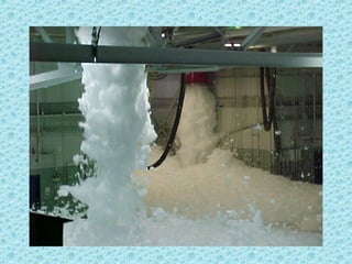 Foam Run Wild | PPT