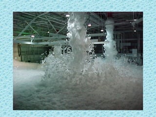 Foam Run Wild | PPT | Free Download