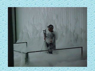 Foam Run Wild | PPT | Free Download