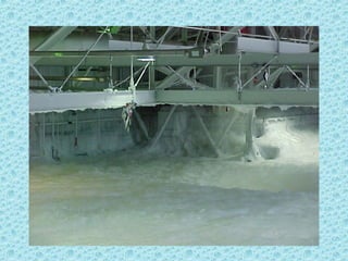 Foam Run Wild | PPT | Free Download