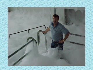 Foam Run Wild | PPT | Free Download