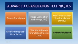 Foam Granulation Technology | PPT