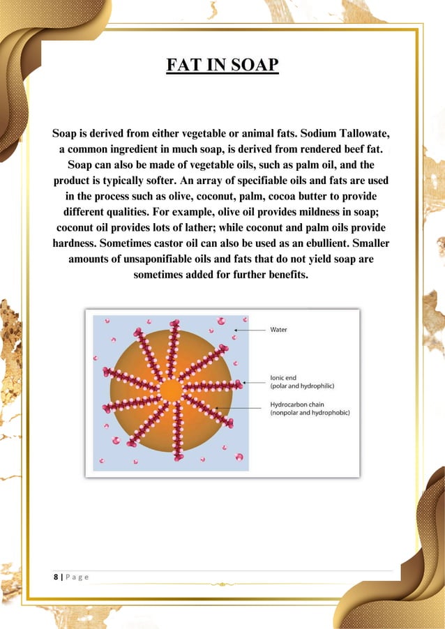 chemistry project on foaming capacity of soap class 11 | PDF