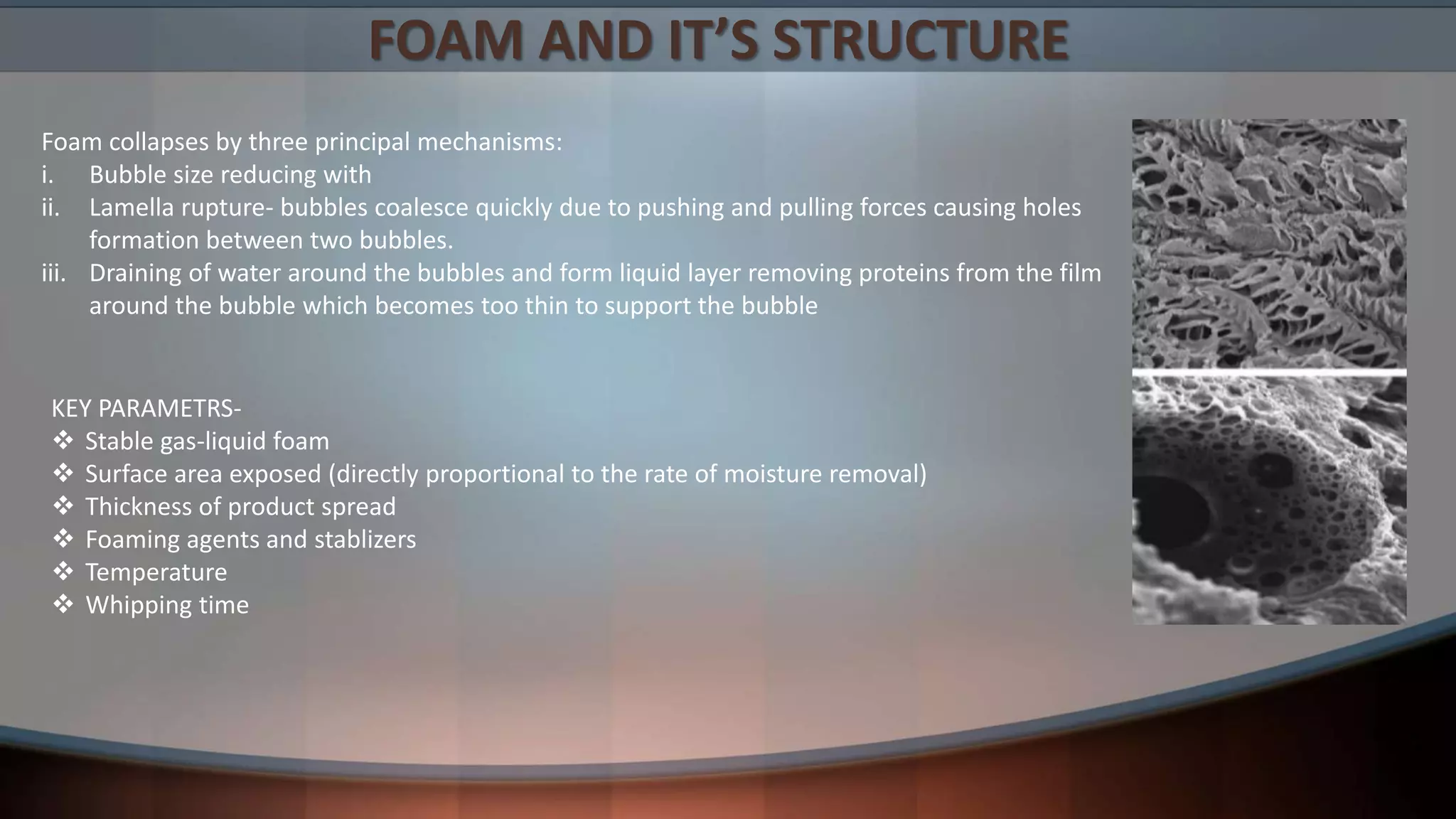 FOAM MAT DRYING TECHNIQUE.pptx