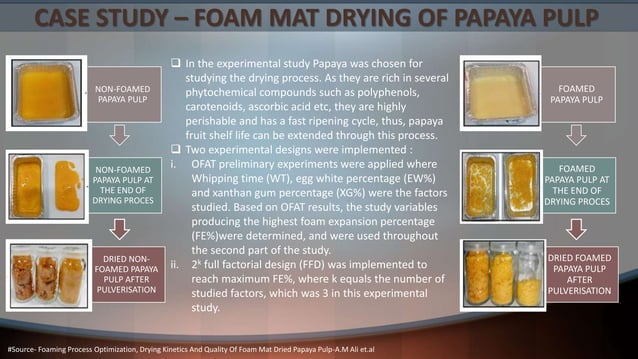 FOAM MAT DRYING TECHNIQUE.pptx | Home Appliances | Home & Garden