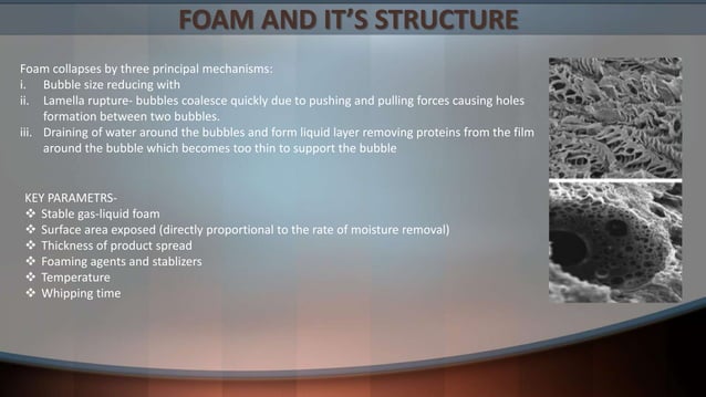 FOAM MAT DRYING TECHNIQUE.pptx | Home Appliances | Home & Garden