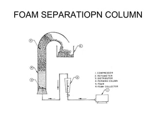 Foam Separation ppt.ppt