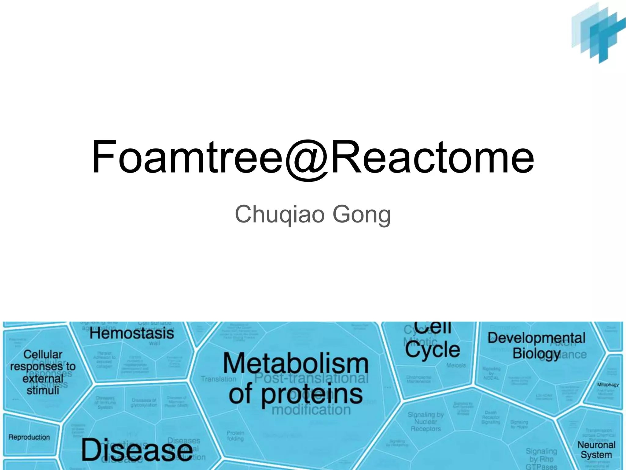 Foamtree@reactome | PPTX