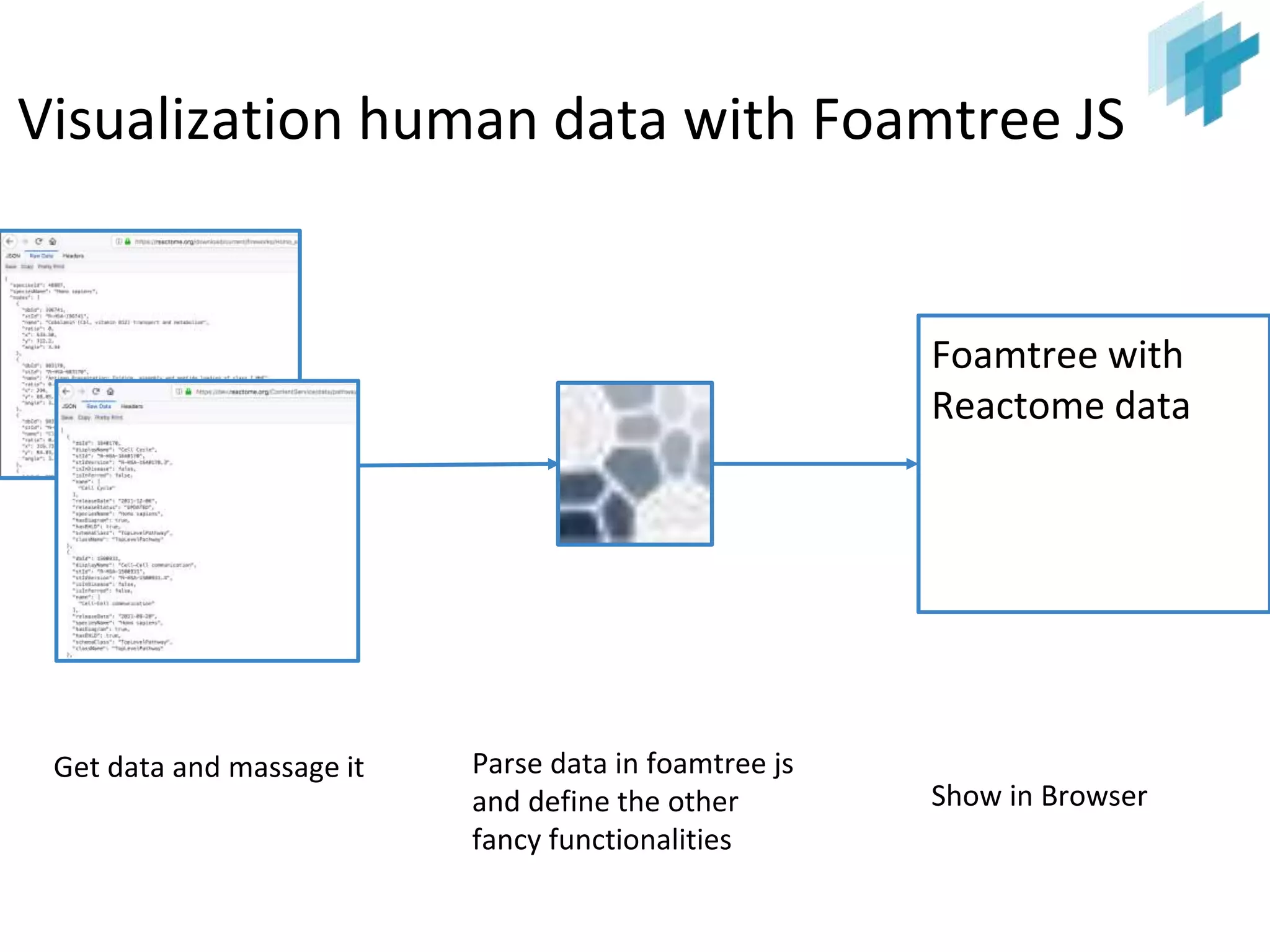 Foamtree@reactome | PPTX | Graphics Software | Computer Software and ...
