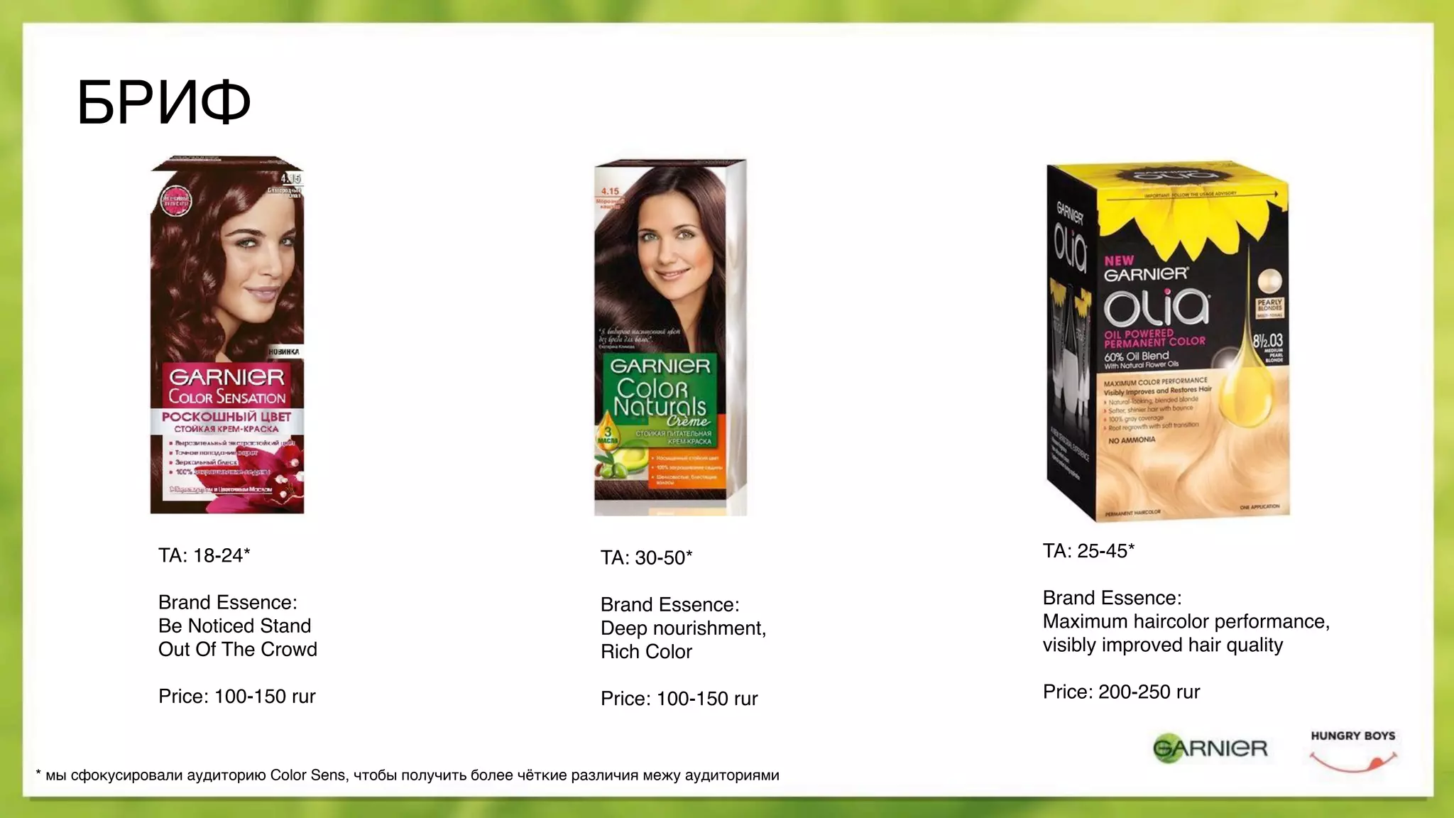 Strategy garnier coloration | PDF