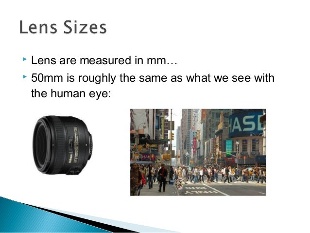 Photography: 2 - Lens Sizes and Depth of Field
