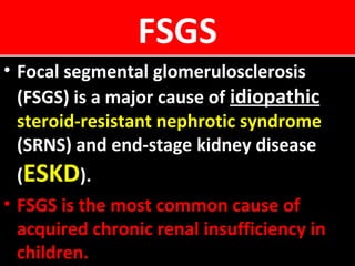 Focal & segmental glomerulosclerosis | PPT