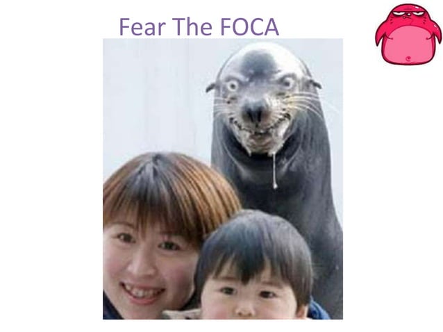 La nueva FOCA 2.7 | PPT