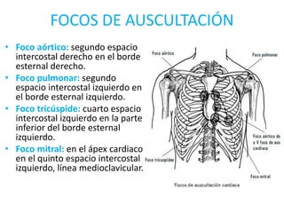 Focos cardíacos | PPT