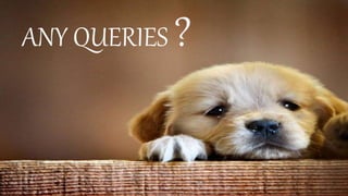 digital tokens based on E-payments | PPTX