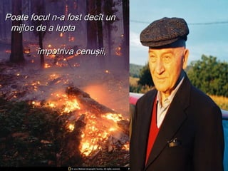 Focul | PPT