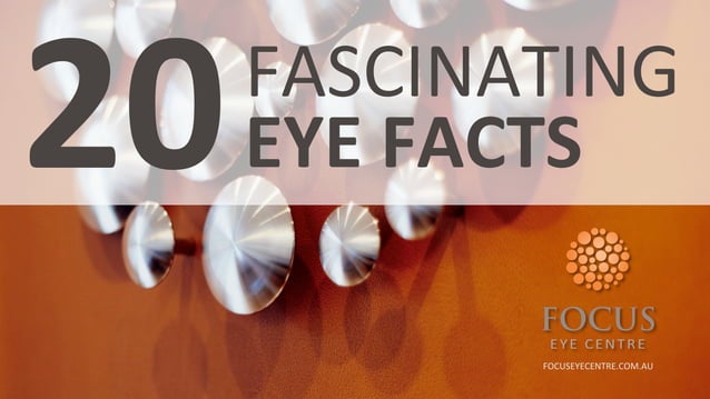 20 fascinating facts about the eye | PPT