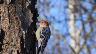 Focus & consistency | PPSX