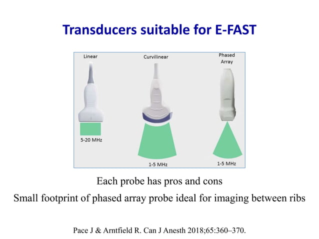 Extended focus assessment with sonography for trauma | PPTX | First Aid ...