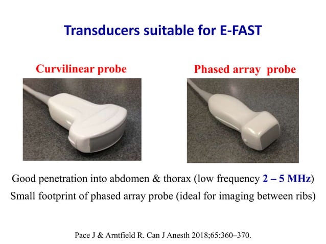 Extended focus assessment with sonography for trauma | PPTX | First Aid ...