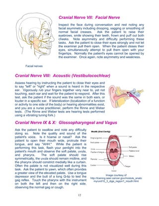 Focused Neurological Assessment | PDF