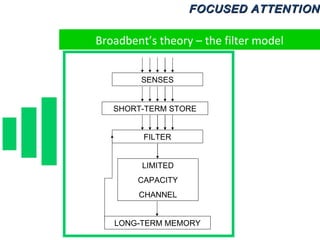 Focused Attention | PPT