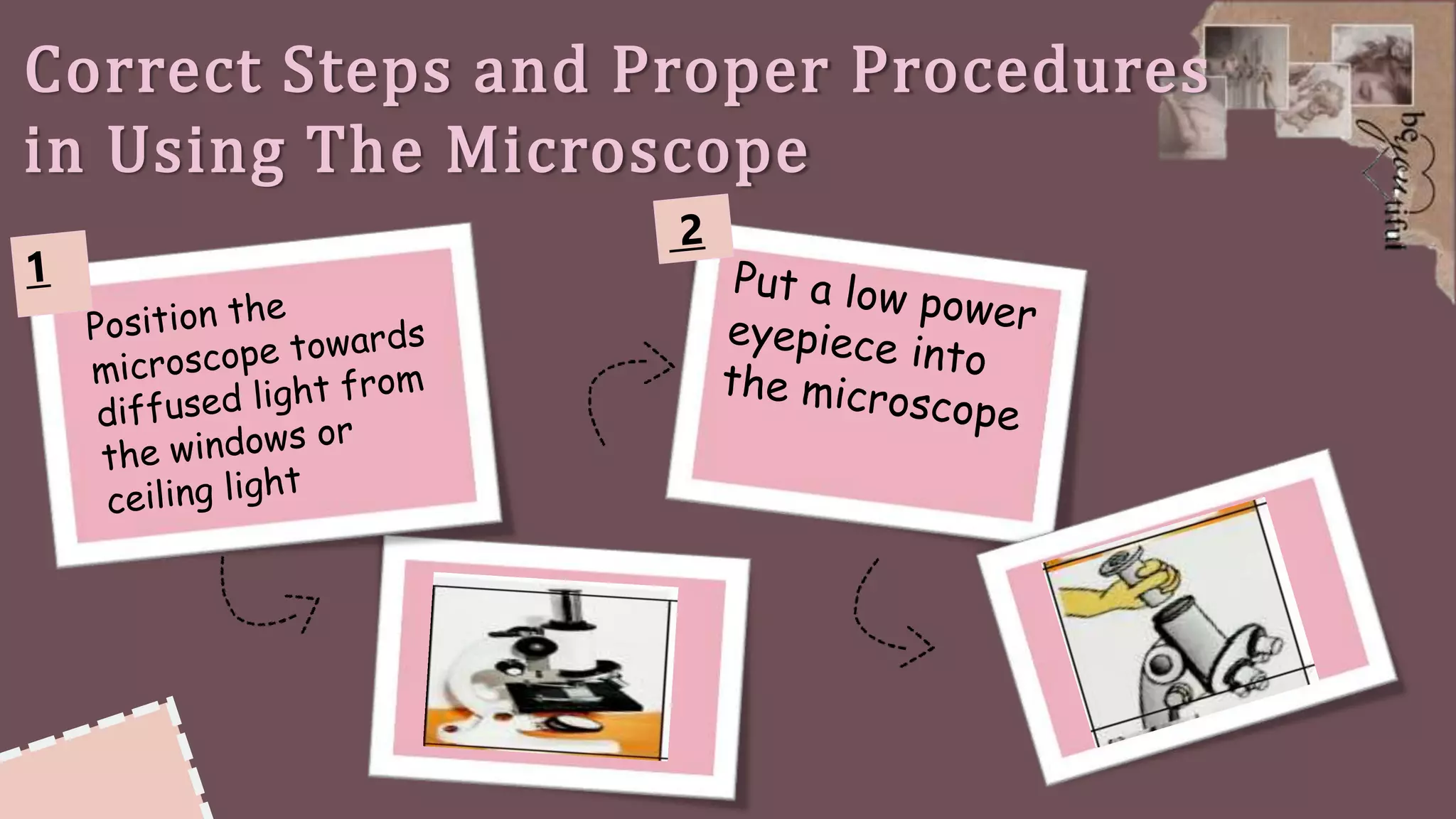 FOCUSING A SPECIMEN.pptx