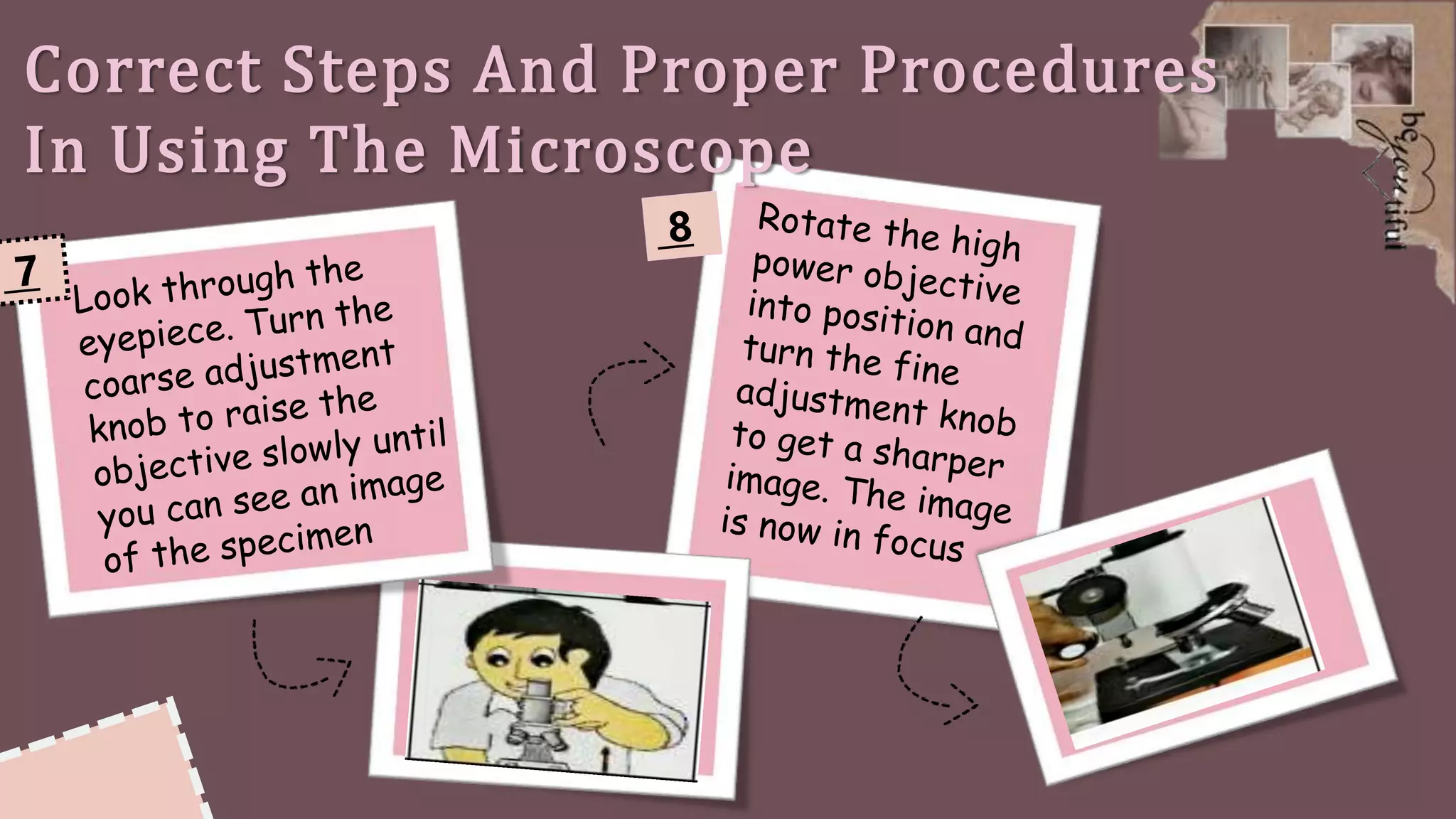 FOCUSING A SPECIMEN.pptx