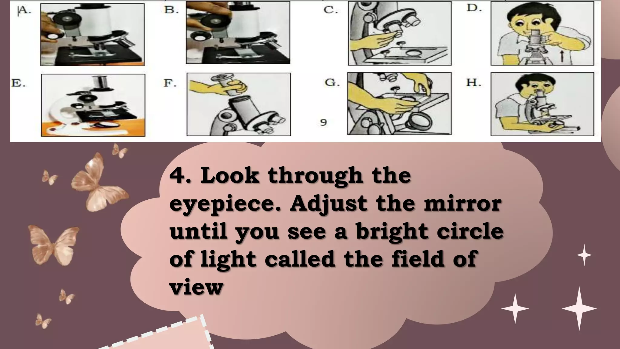 FOCUSING A SPECIMEN.pptx