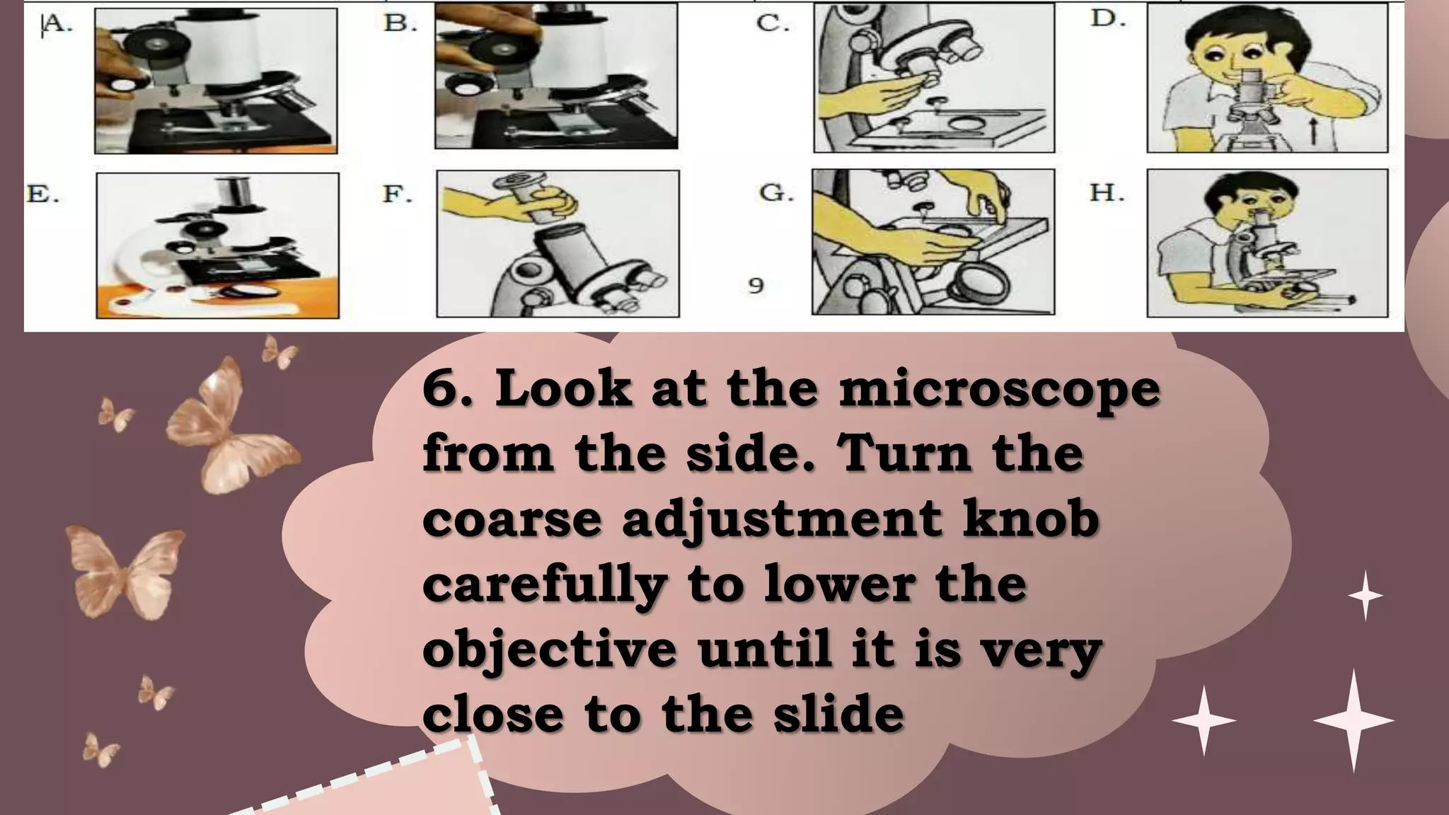FOCUSING A SPECIMEN.pptx