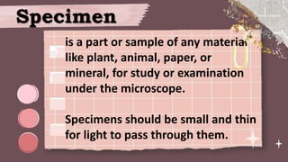 FOCUSING A SPECIMEN.pptx