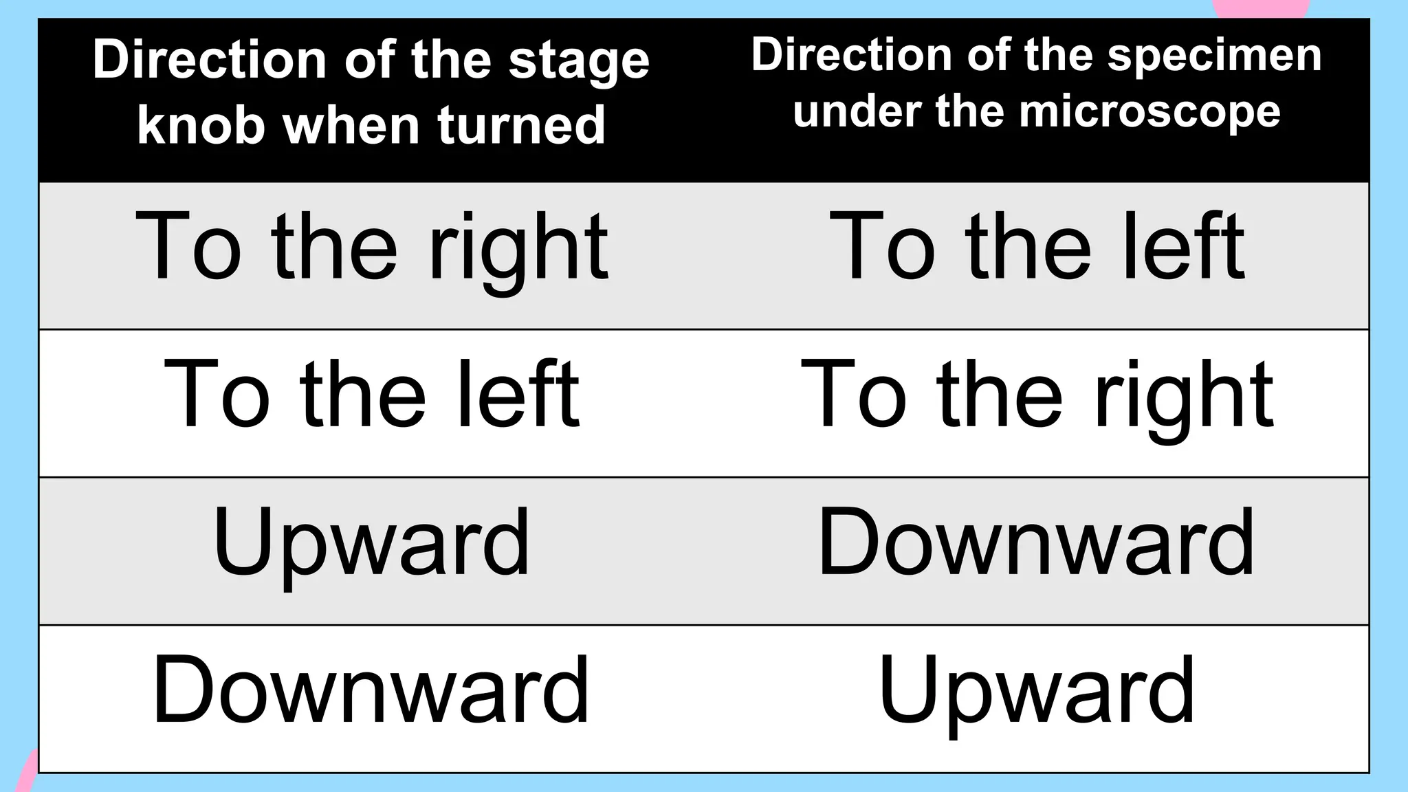 FOCUSING THE SPECIMEN and understanding microscope.pdf