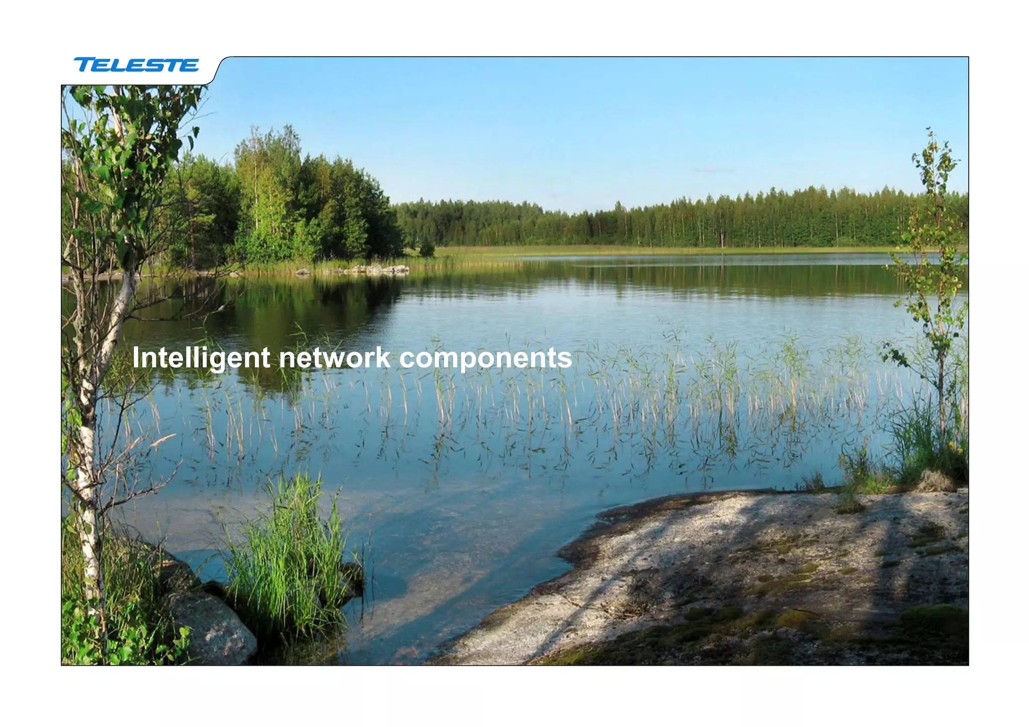 Focus on the essential / Intelligent Networks | PPT