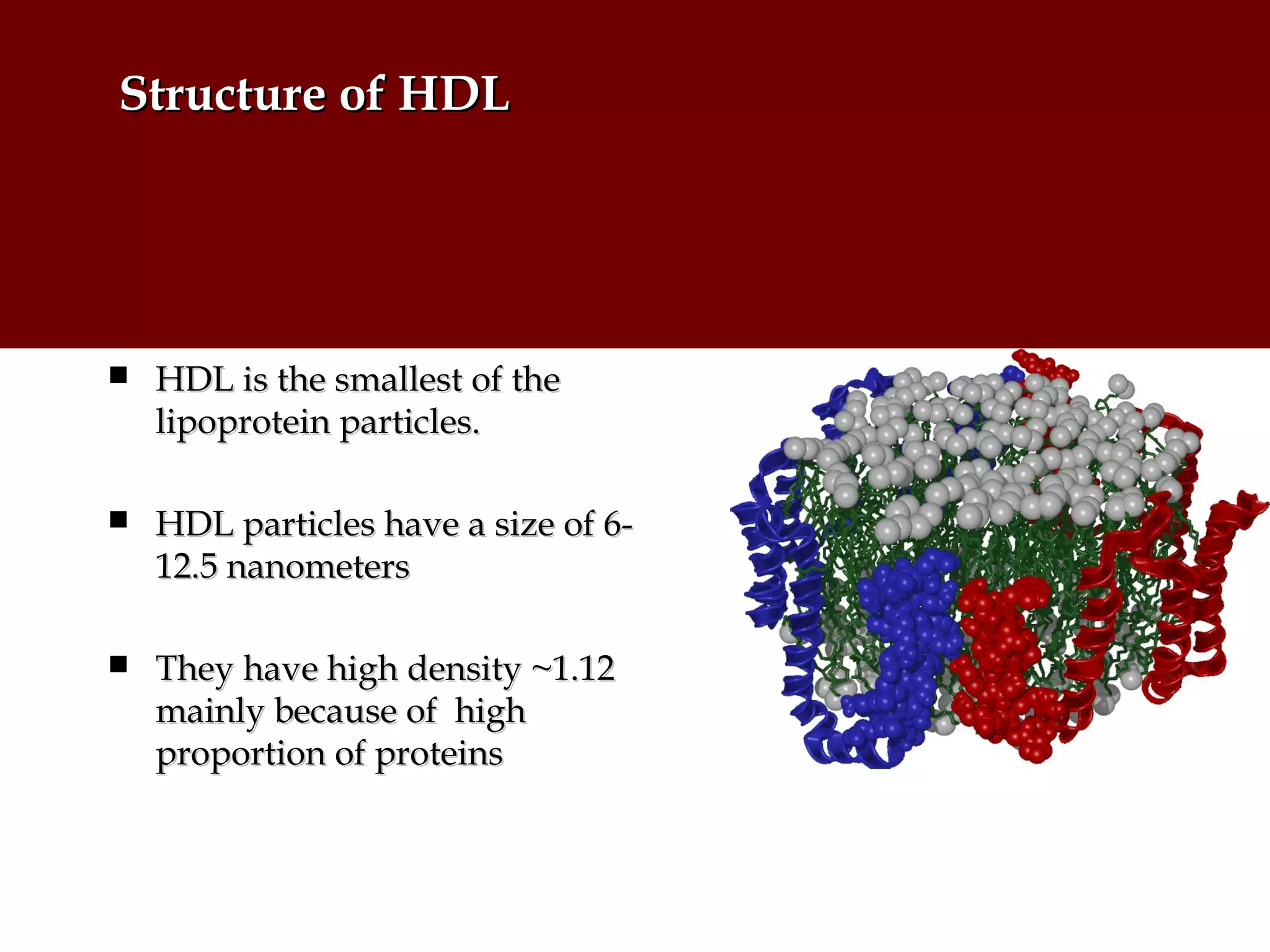 Focus on high density lipoproteins | PPT