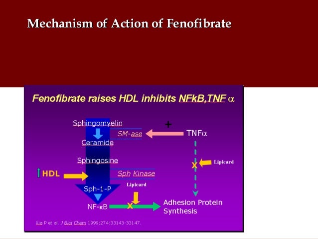 Focus on high density lipoproteins
