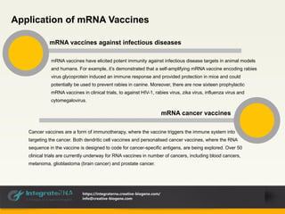 mRNA Vaccine | PDF