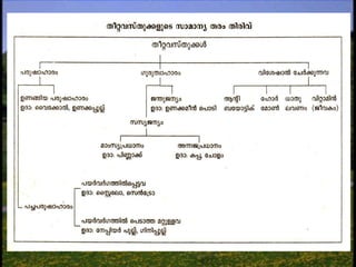 fodder and azolla.ppt