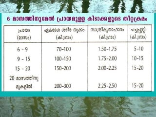 fodder and azolla.ppt