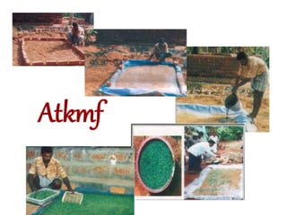 fodder and azolla.ppt