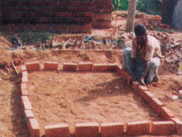 fodder and azolla.ppt