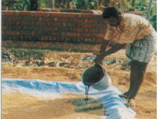 fodder and azolla.ppt