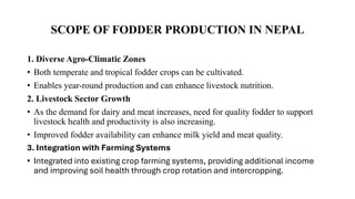 Fodder and Pasture management Full Note || Asst. Prof. Boby Basnet | PDF