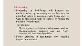 Fodder and Pasture management Full Note || Asst. Prof. Boby Basnet | PDF