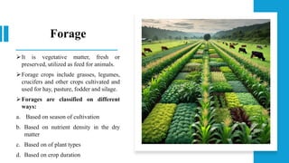 Fodder and Pasture management Full Note || Asst. Prof. Boby Basnet | PDF