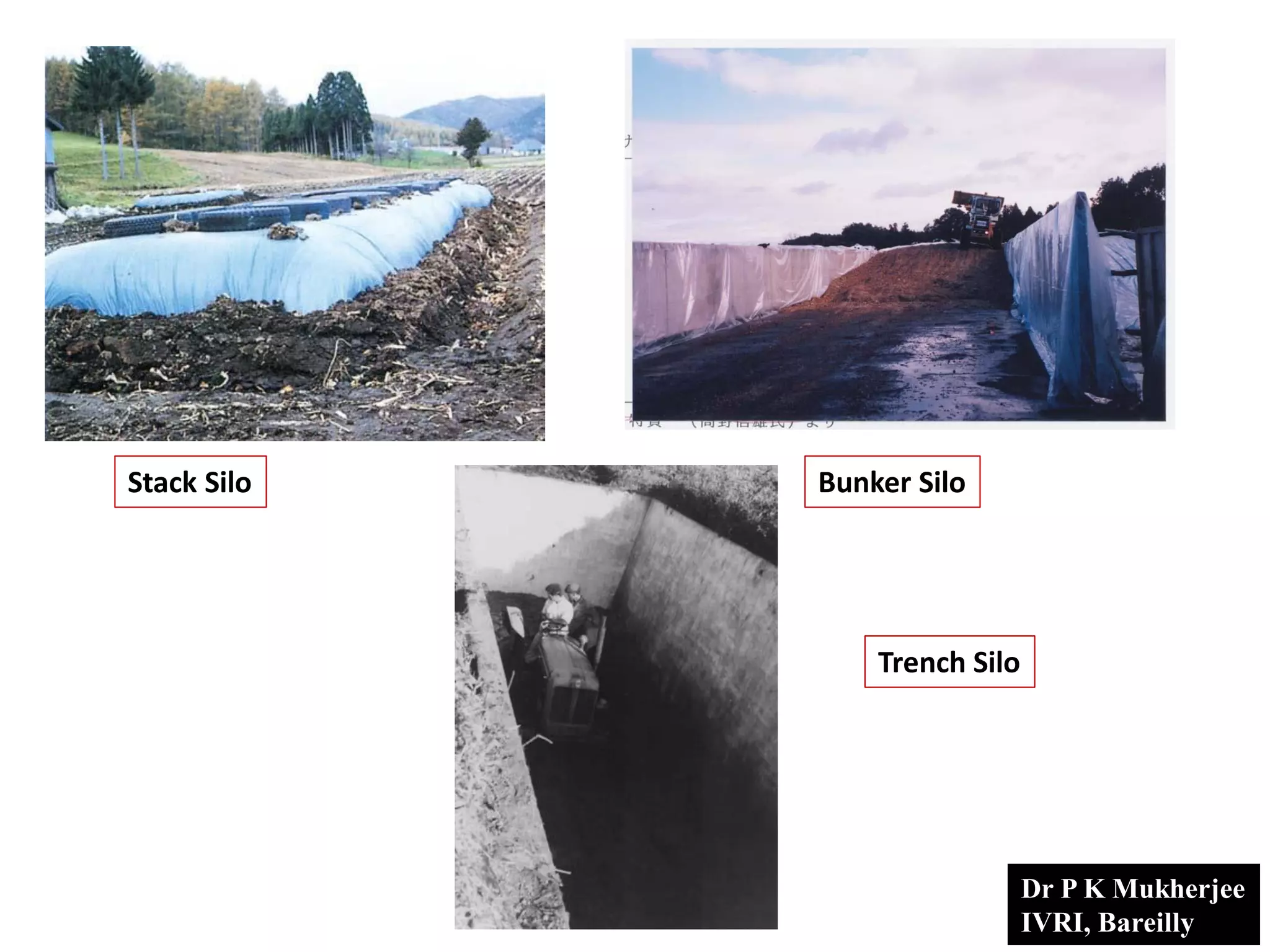 Fodder conservation pijush kanti mukherjee (icar-ivri) | PDF